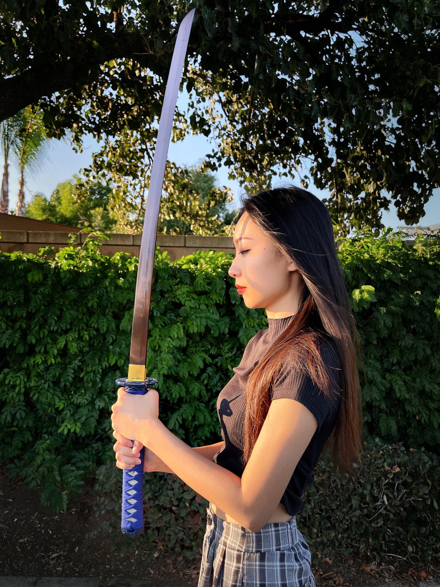 Katana for Sale - Musha Blue Phoenix Katana - Shop Musashi Swords